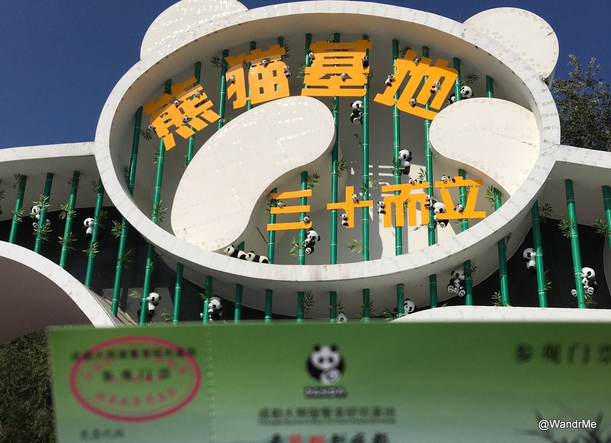 Playing with Pandas: A day at the Chengdu Research Base of Giant Panda ...